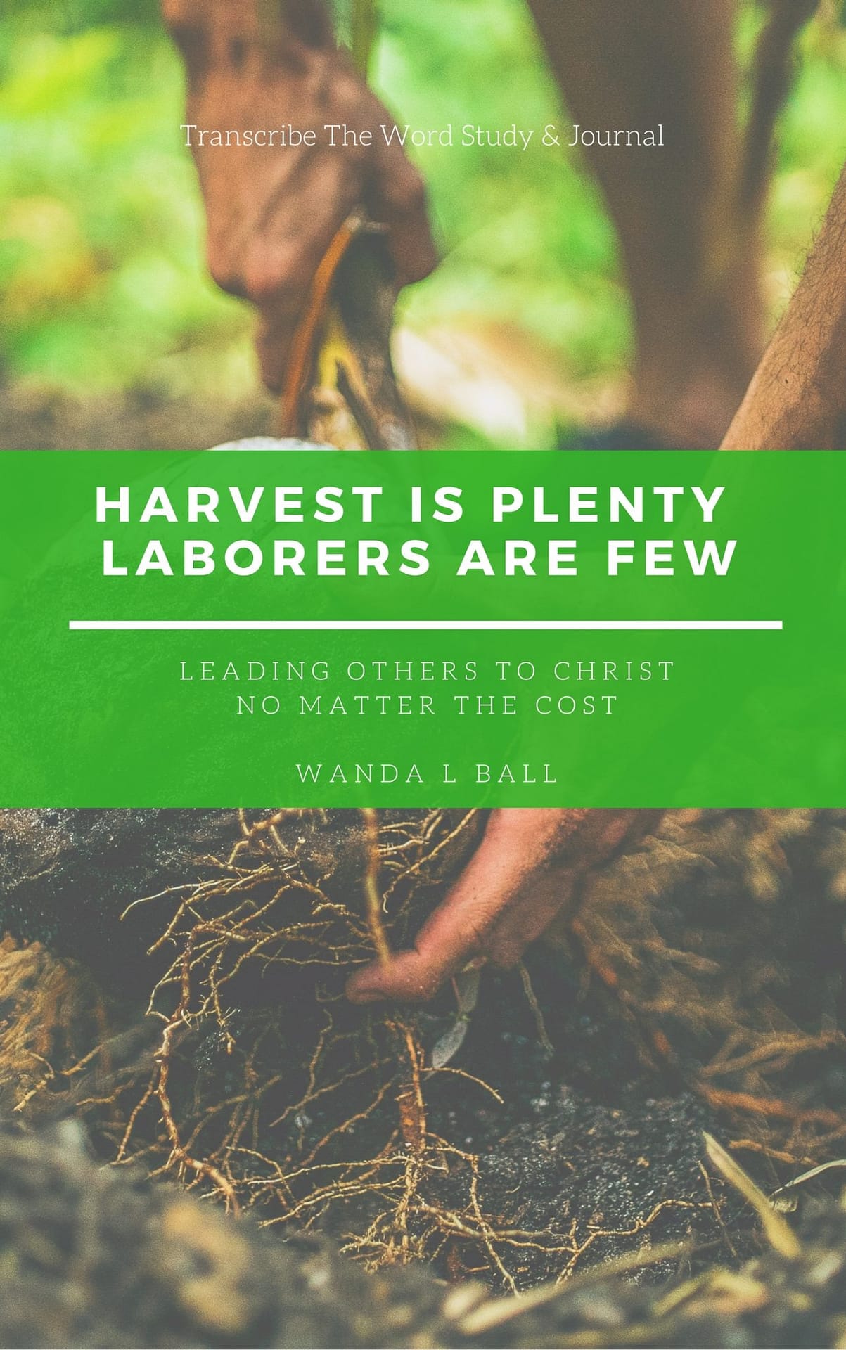 Transcribe The Word: Harvest Is Plenty Laborers Are Few: Bible Study ...