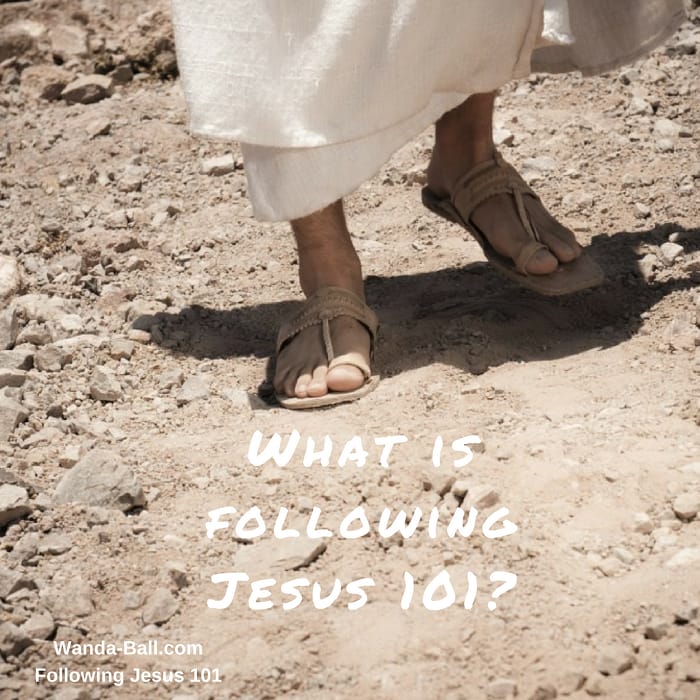 What is Following Jesus 101? ⋆ Following Jesus 101 Ministries: Wanda L Ball
